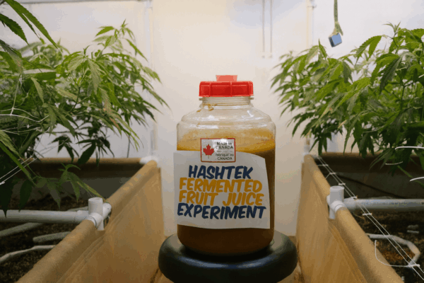 DIY Coolbot Alternative: Build Your Own Affordable Walk-In Cooler - Hashtek